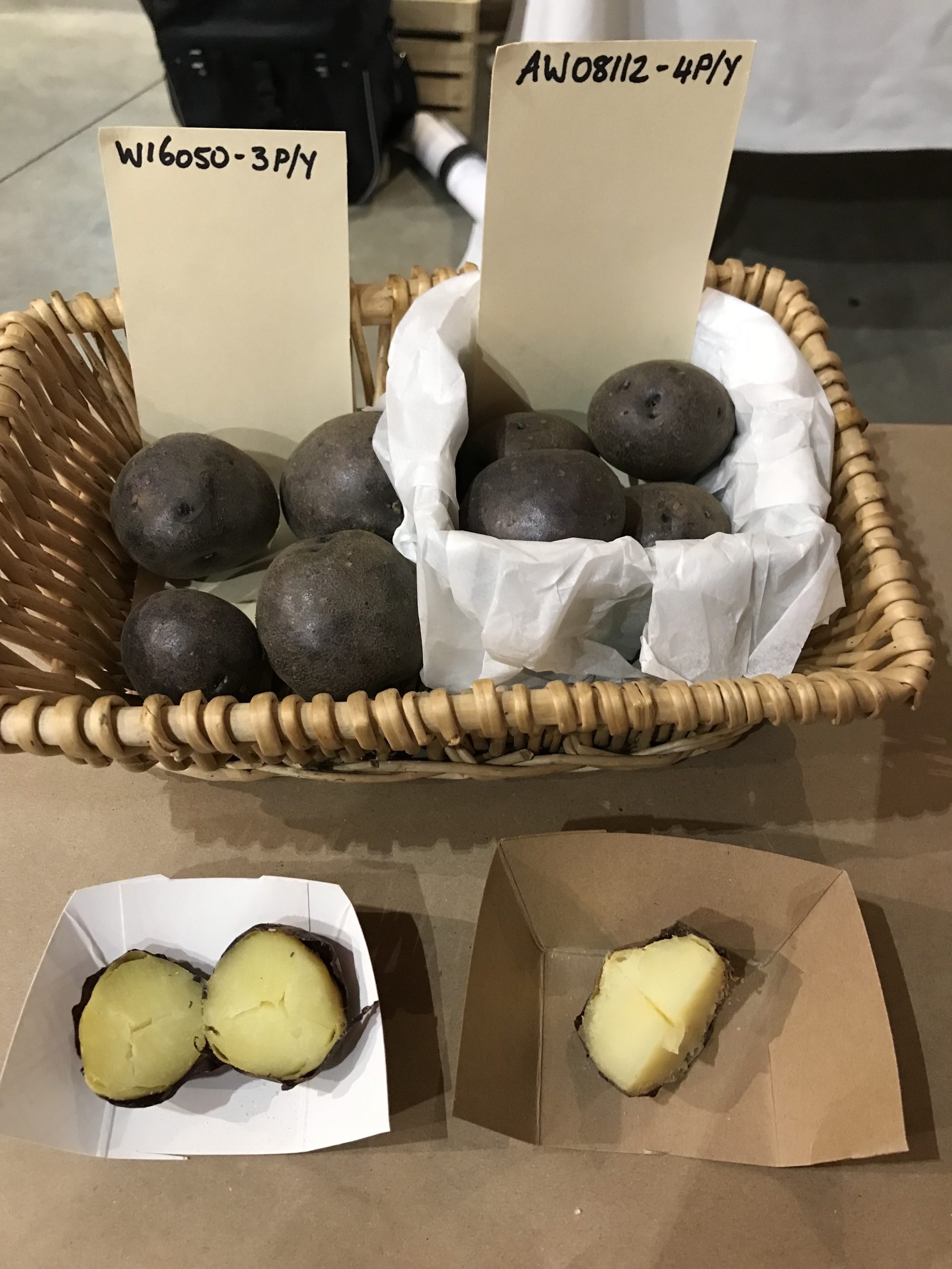 Farm to Flavor 2022 – Potato Breeding & Genetics